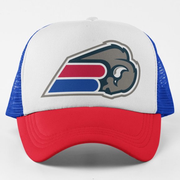 Team Fans | Accessories | New Buffalo Bills Unused Alt Logo Foam ...